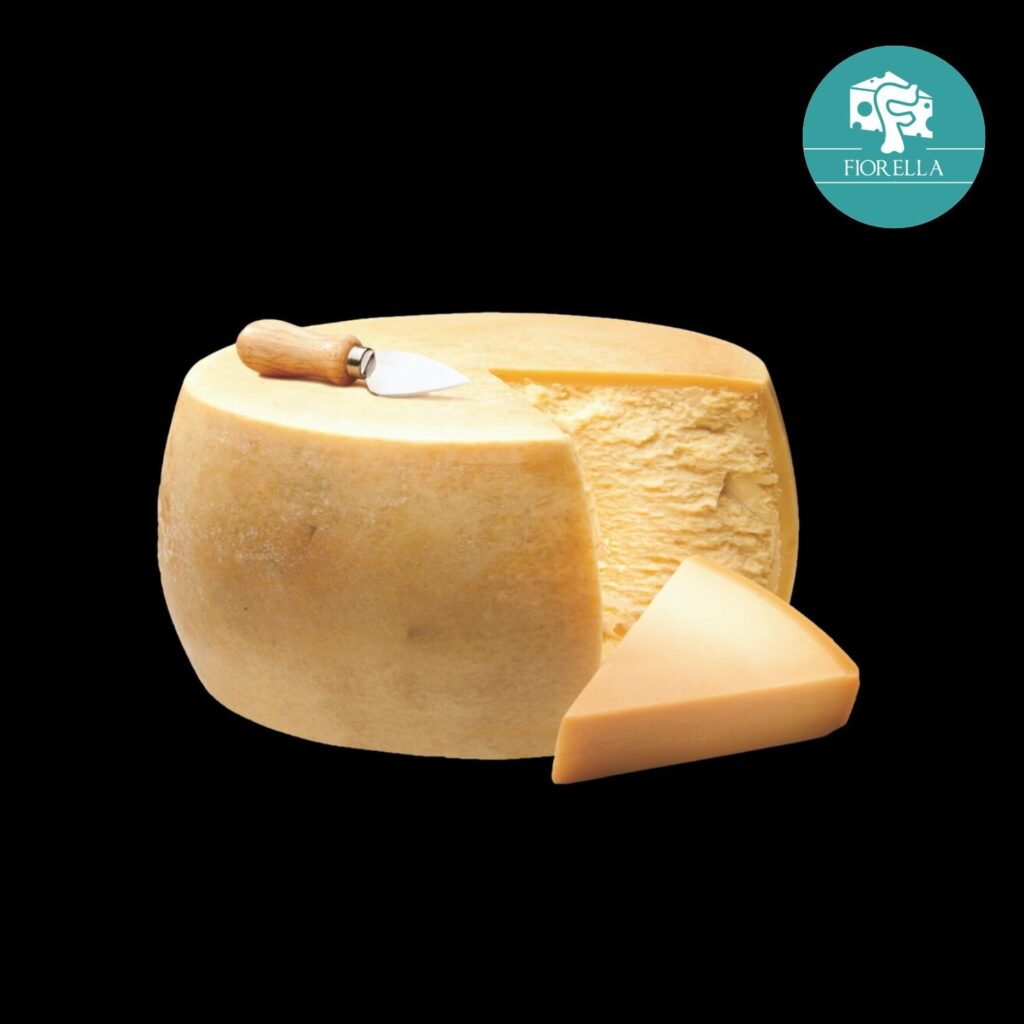 Parmesan Wheel – Fortune